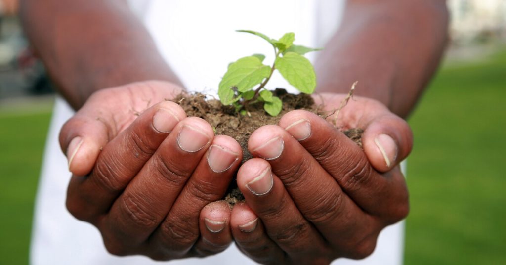 Environmental Rehabilitation | Bioretention Basin | 2021